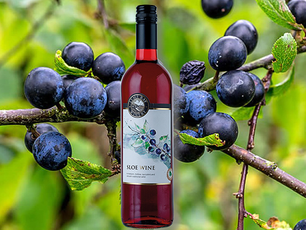 Sloe Wine - Mulled Wine - Hook Norton Brewery